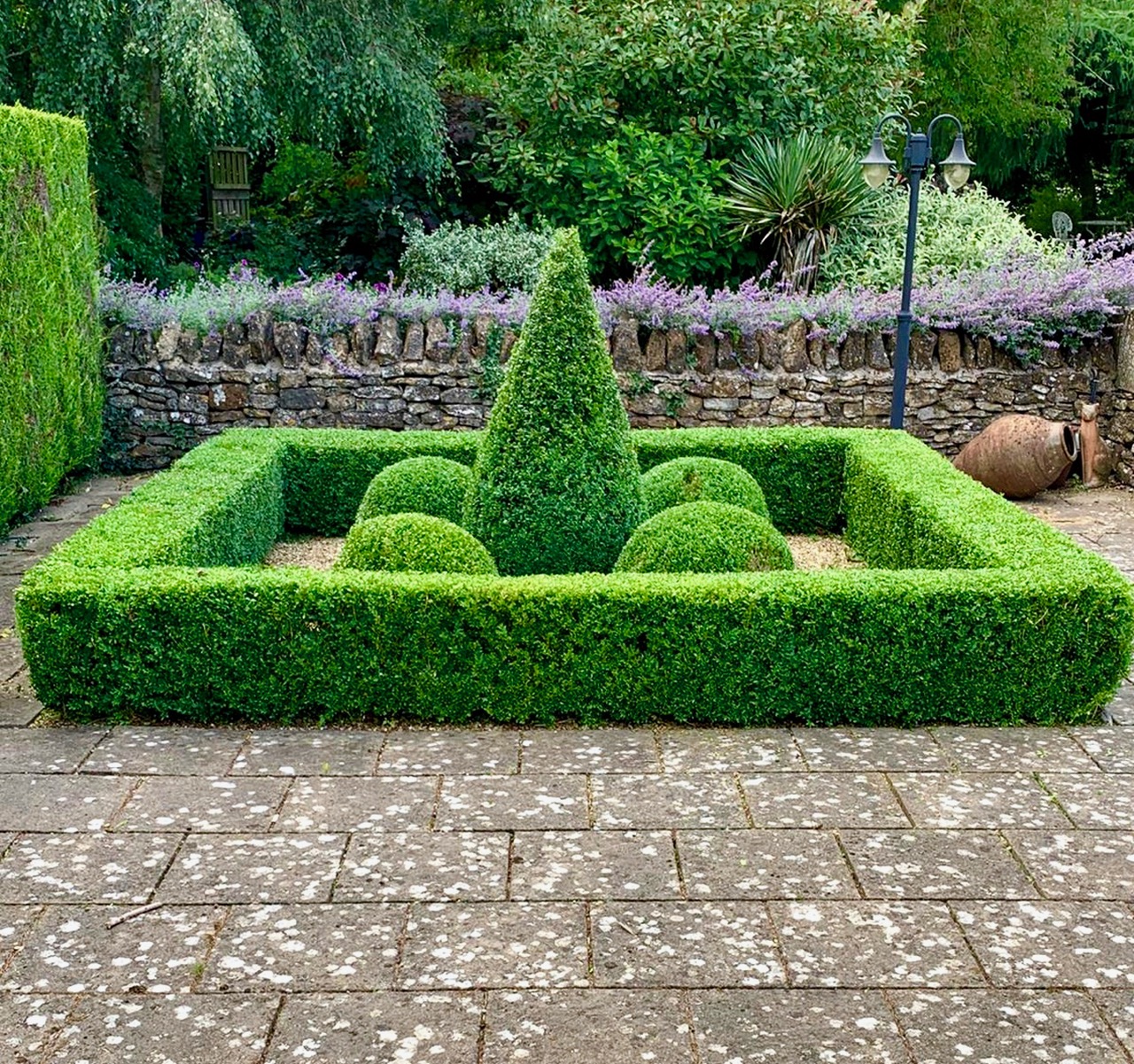 Hedge and Topiary cutting service - Thomas Fox Landscaping